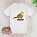Yellowhammer Bird SVG, Yellowhammer, Yellowhammer Clipart, Bird Vector ...