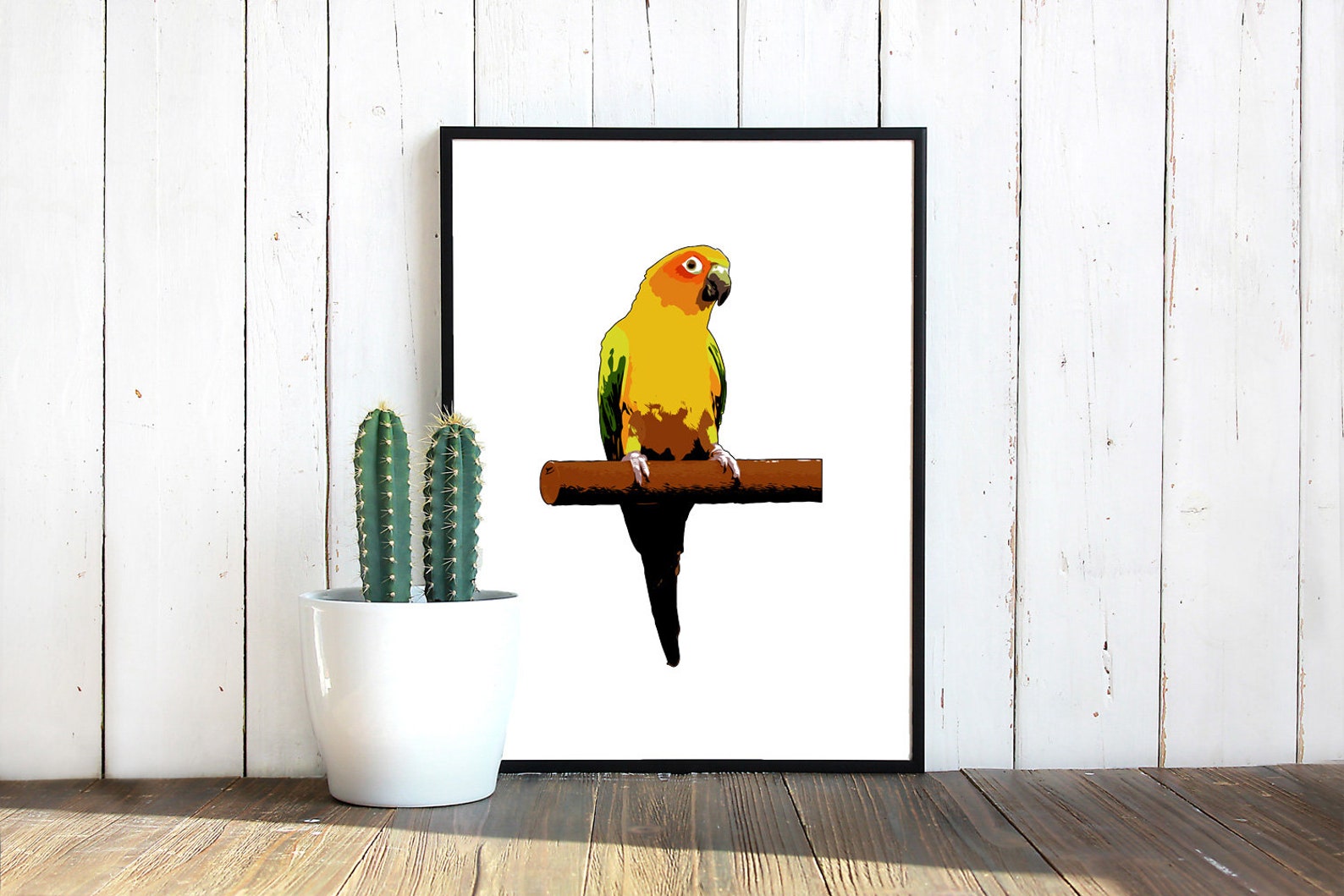 Sun Conure Svg Cut Files, Conure Waterslide Decal, Svg Files for Cricut ...