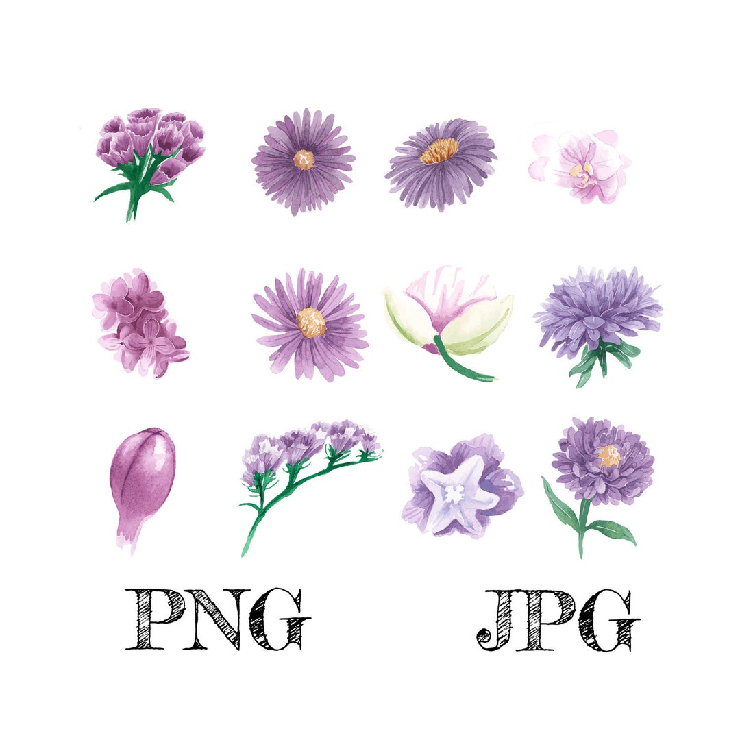 Purple Watercolor Flowers Bundle PNG, Purple Flowers, Floral ...