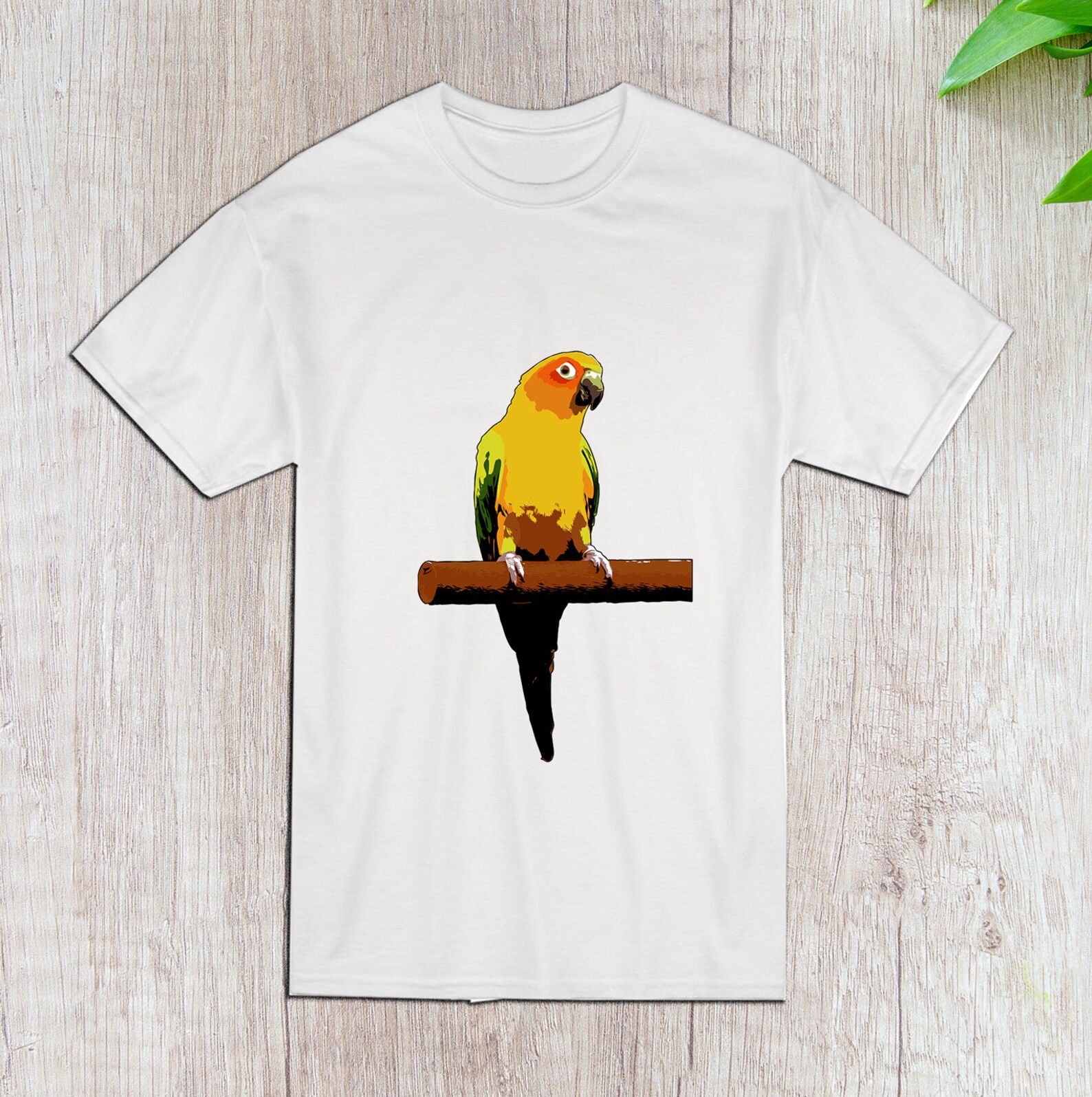 Sun Conure Svg Cut Files, Conure Waterslide Decal, Svg Files for Cricut ...