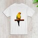 Sun Conure Svg Cut Files, Conure Waterslide Decal, Svg Files for Cricut ...