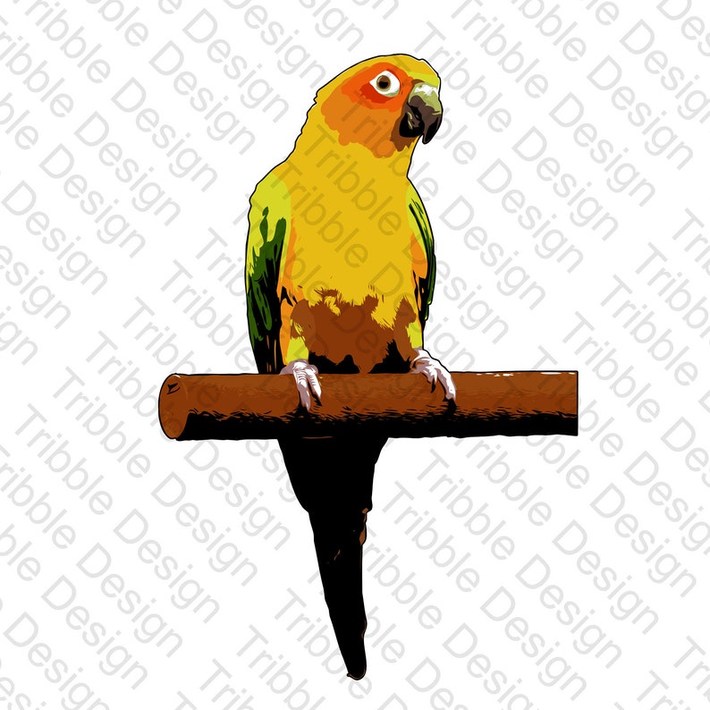 Sun Conure Svg Cut Files, Conure Waterslide Decal, Svg Files for Cricut ...
