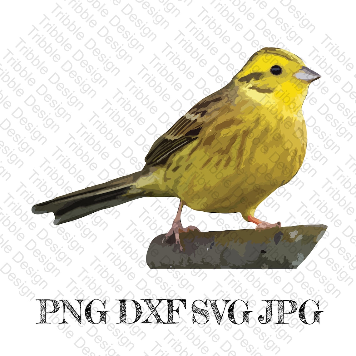 Yellowhammer Bird SVG Yellowhammer Yellowhammer Clipart - Etsy