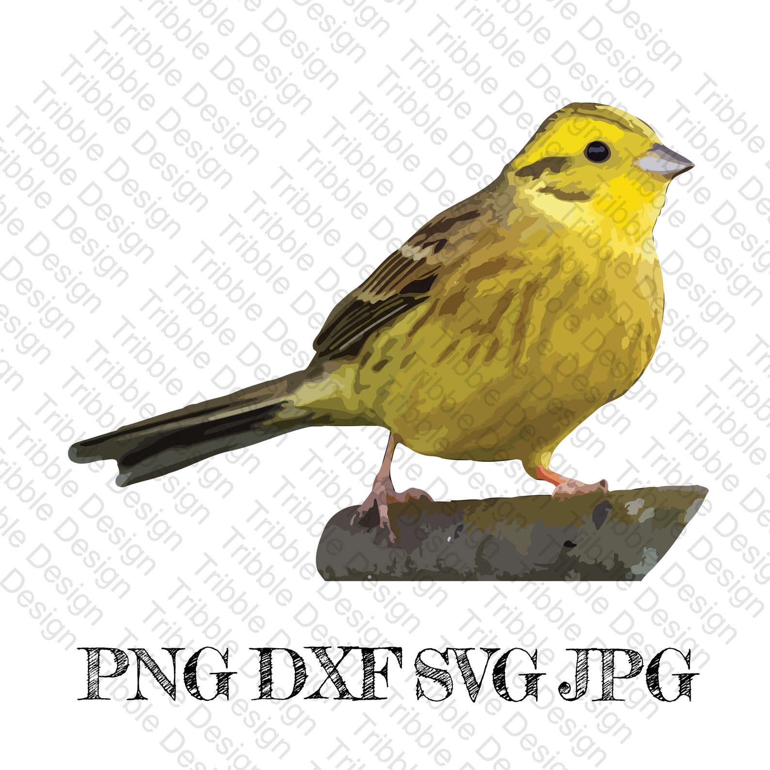 Yellowhammer Bird SVG, Yellowhammer, Yellowhammer Clipart, Bird Vector ...