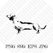 Dachshund, Weiner Dog Vector Art, Cut Files, Dog SVG, Dachshund Cut ...
