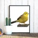 Yellowhammer Bird SVG, Yellowhammer, Yellowhammer Clipart, Bird Vector ...