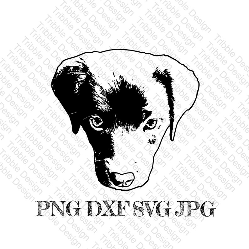 Labrador Pup Head Svgdxfpngcut Filelabrador Doglabrador - Etsy