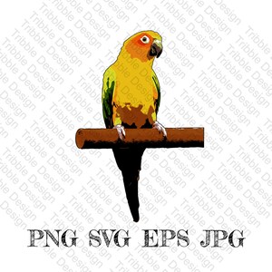 Sun Conure Svg Cut Files, Conure Waterslide Decal, Svg Files for Cricut ...