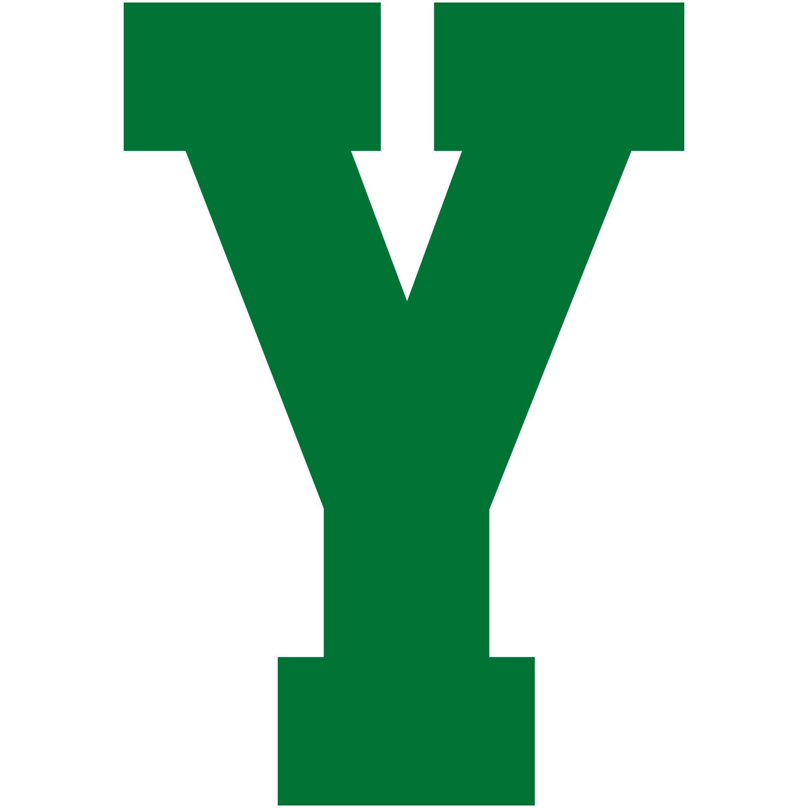 Varsity Letter Y Decal Sticker Vinyl Window Laptop College Athletic ...