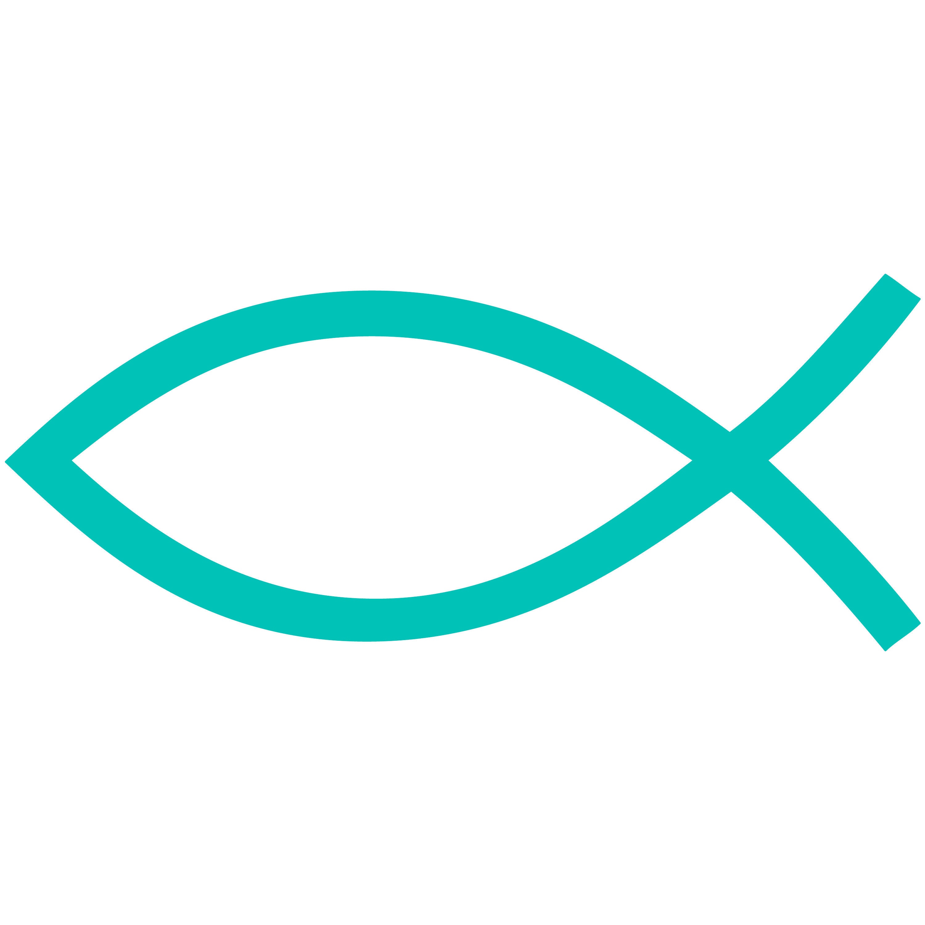 Jesus Fish Vinyl Decal Car Truck Window Bumper Sticker 2x | Etsy