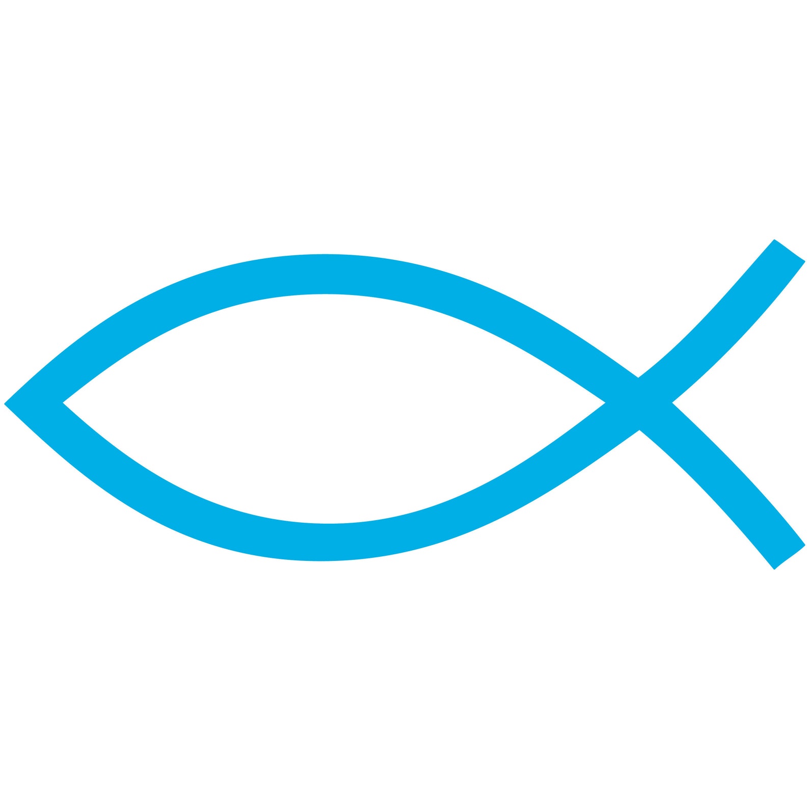 Jesus Fish Vinyl Decal Car Truck Window Bumper Sticker 2x | Etsy