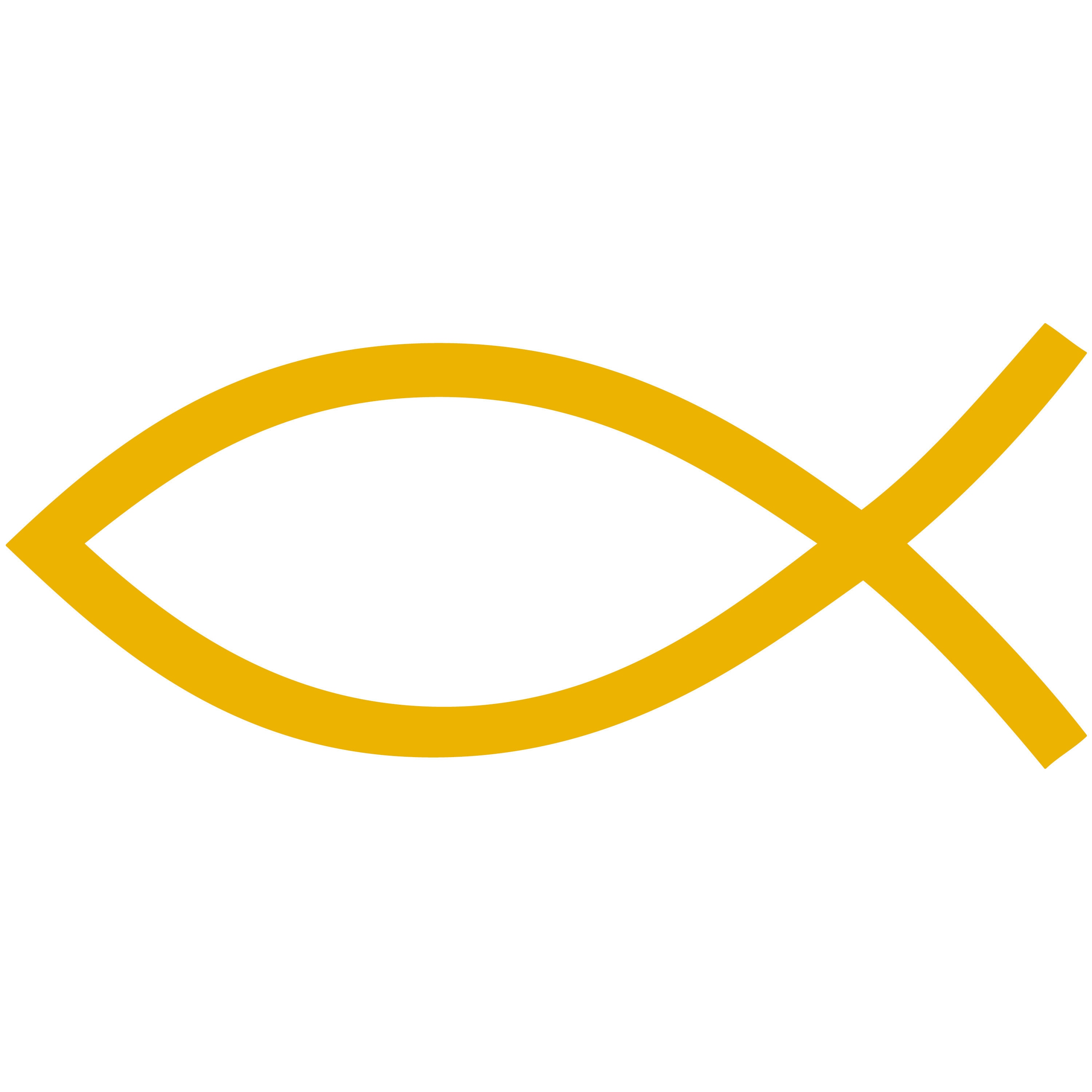 Jesus Fish Vinyl Decal Car Truck Window Bumper Sticker 2x | Etsy