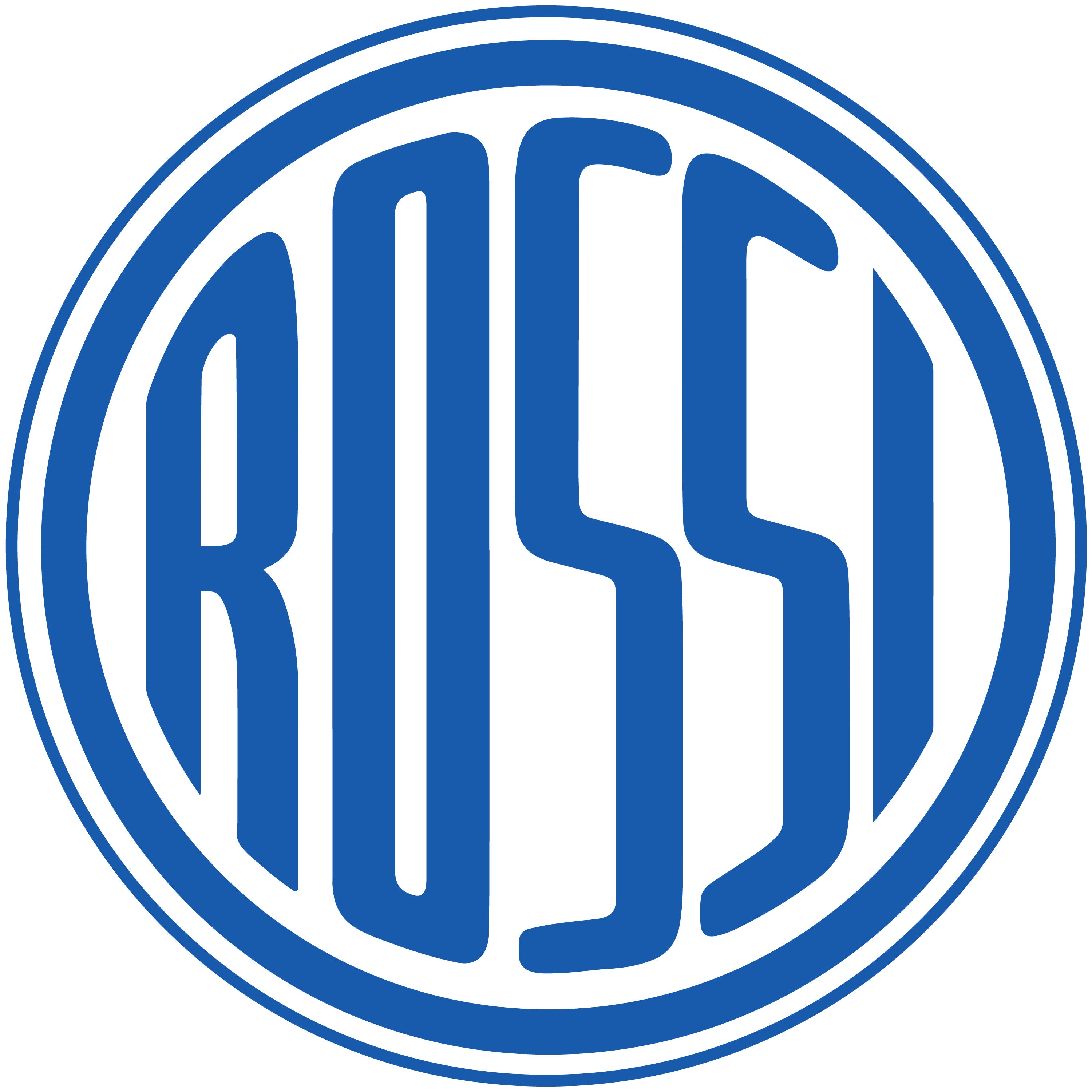 Rossi Logo Vinyl Decal Car Window Bumper Sticker Gun Case Pistol G2c ...