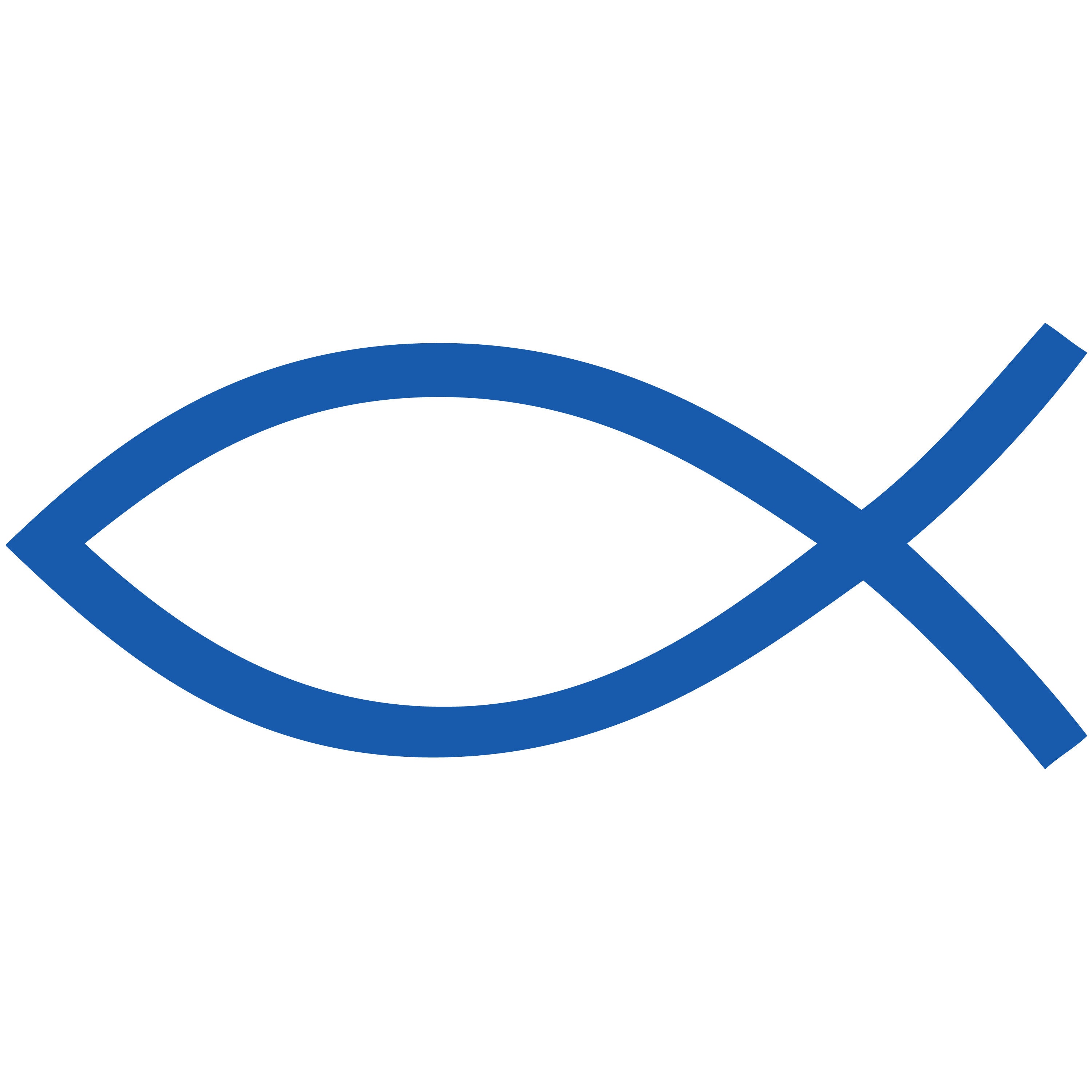 Jesus Fish Vinyl Decal Car Truck Window Bumper Sticker 2x | Etsy