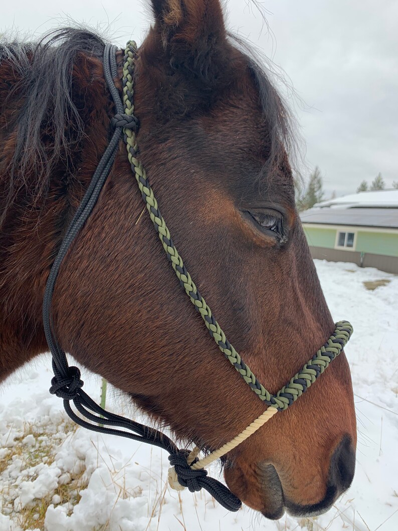 Lariat Bosal with Fiador Rope Hackamore Loping Hackamore | Etsy