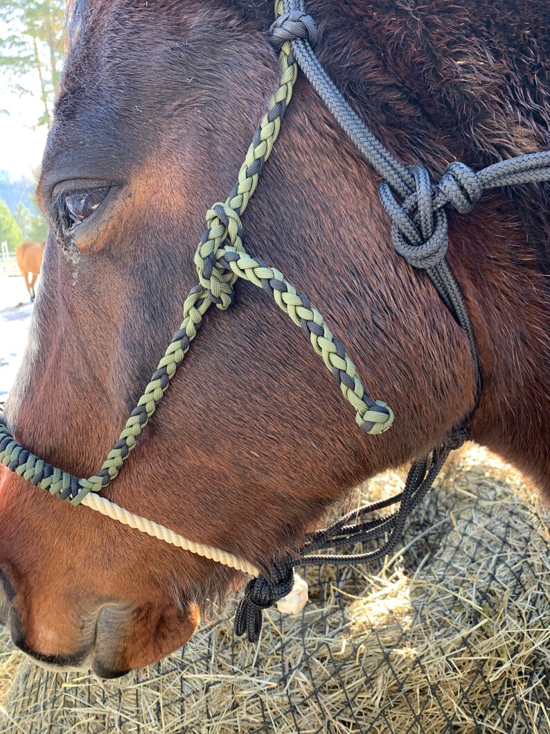 Lariat Bosal With Fiador Rope Hackamore Loping Hackamore - Etsy