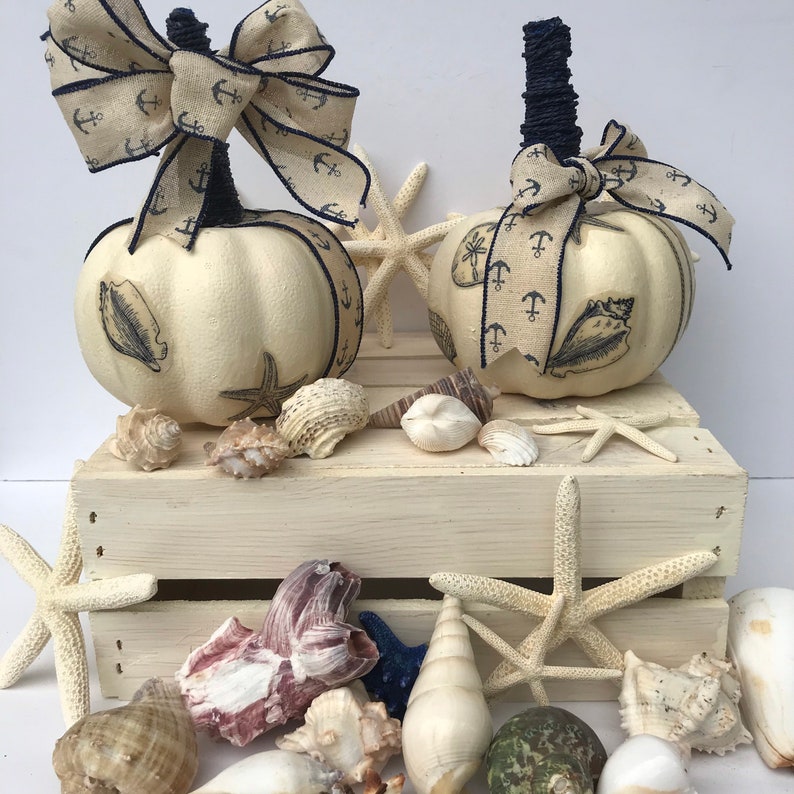 Coastal Pumpkin-blue Pumpkin-shells Pumpkin-nautical Pumpkin-ocean ...