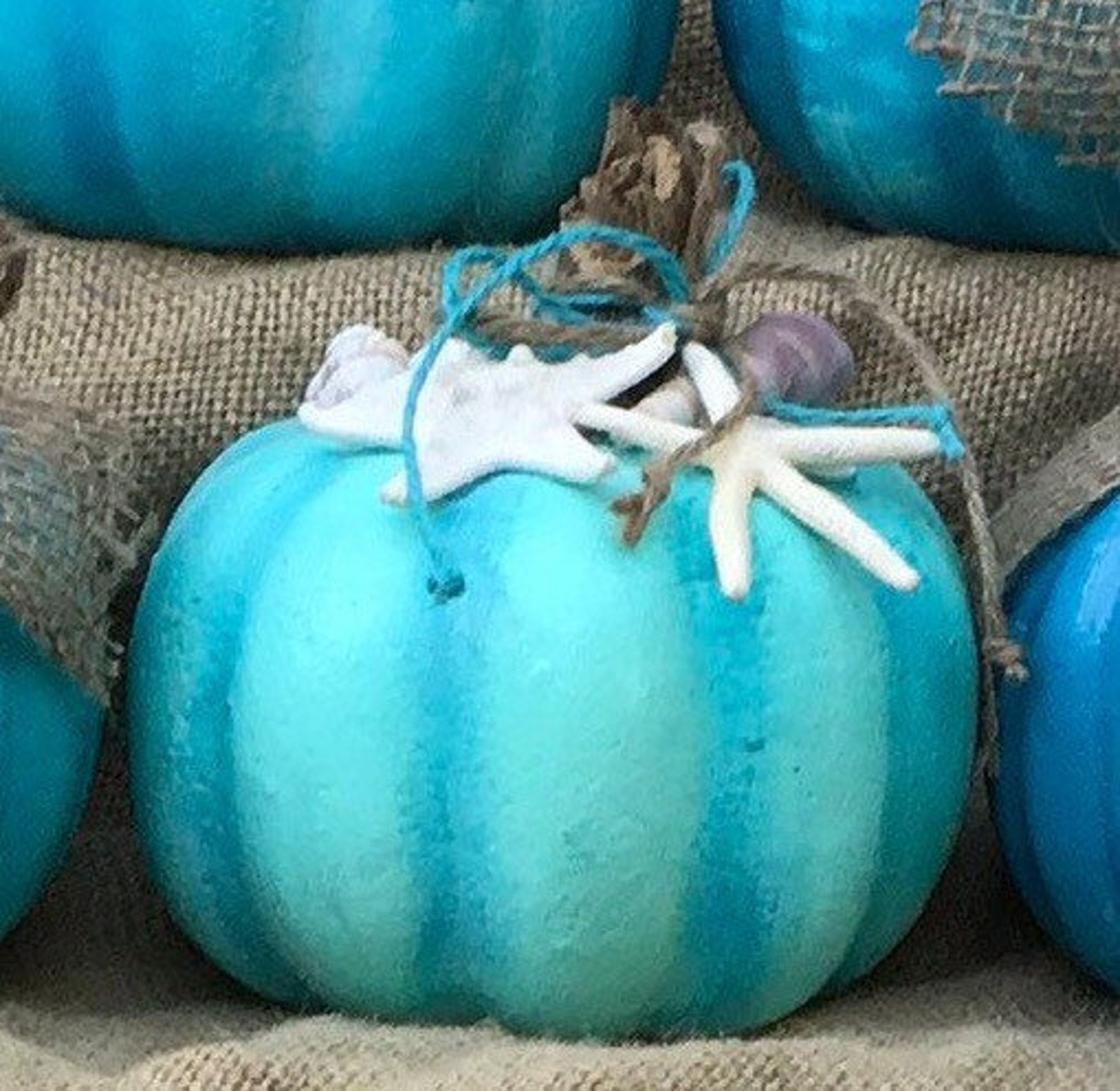 Coastal Pumpkin-key West Pumpkin-shell Pumpkin-coastal Pumpkin Decor ...