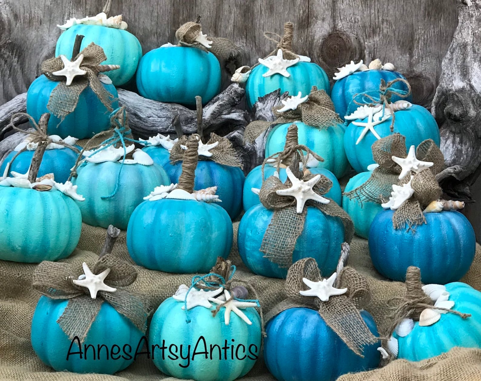 Coastal Pumpkin-key West Pumpkin-shell Pumpkin-coastal Pumpkin Decor ...