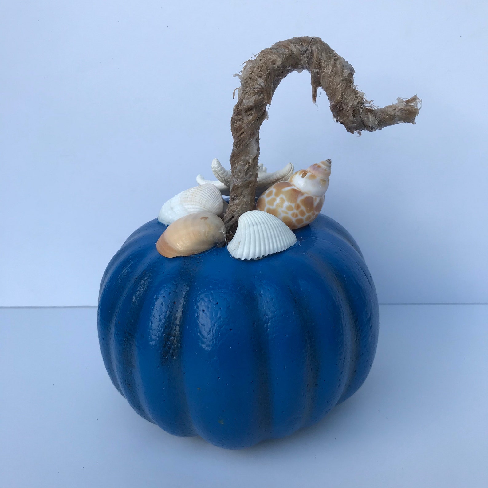 Coastal Pumpkin-key West Pumpkin-shell Pumpkin-coastal Pumpkin Decor ...