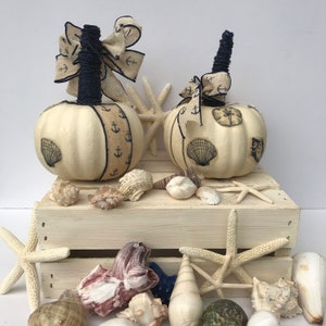 Coastal Pumpkin-blue Pumpkin-shells Pumpkin-nautical Pumpkin-ocean ...