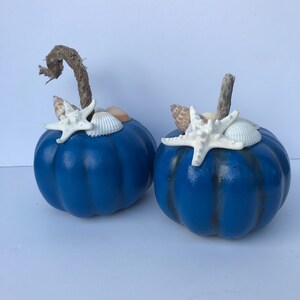 Coastal Pumpkin-key West Pumpkin-shell Pumpkin-coastal Pumpkin Decor ...
