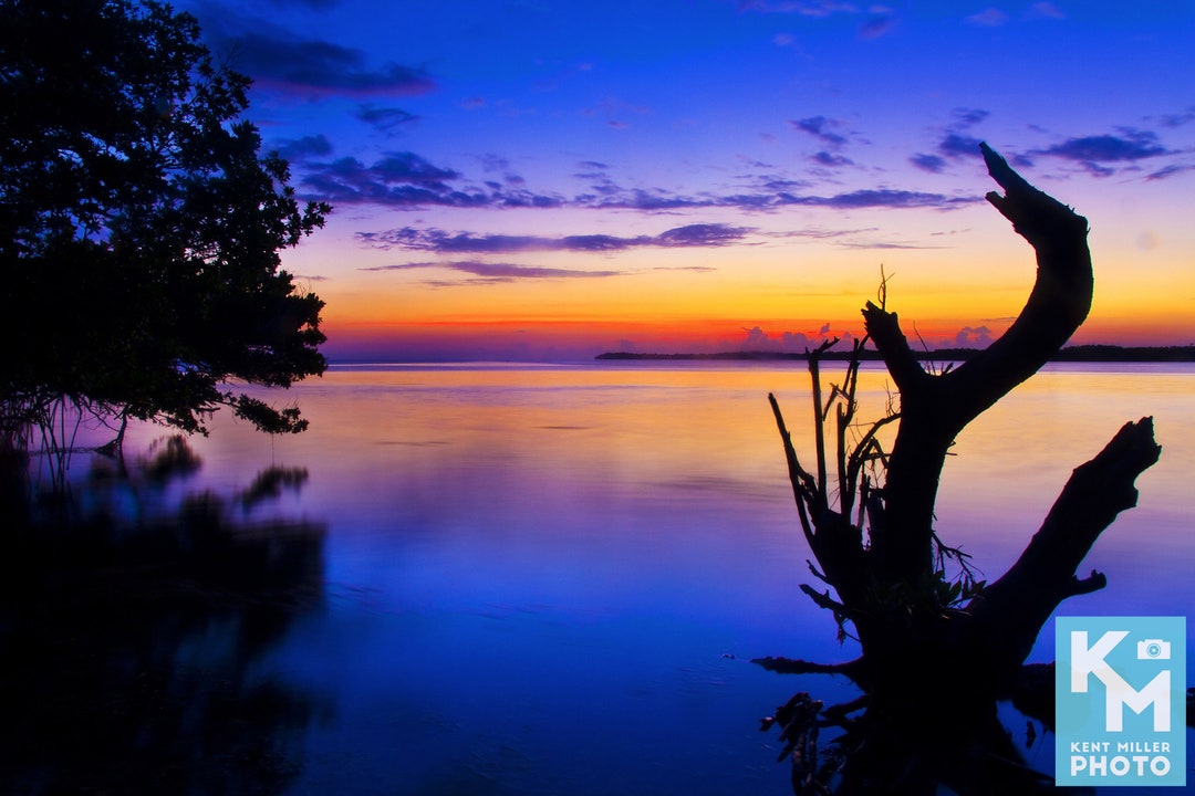 Sunrise and the Crooked Tree the Florida Keys Key Largo - Etsy