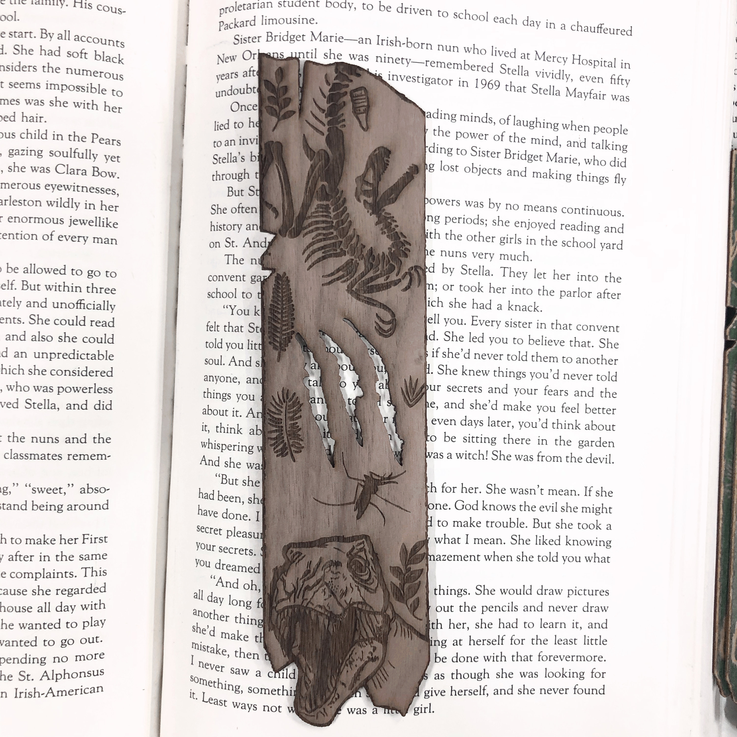 Jurassic Park Wooden Bookmark Dinosaur Bookmark Science - Etsy UK