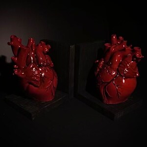 Anatomical Heart Bookends Gothic Home Decor Book Lovers - Etsy