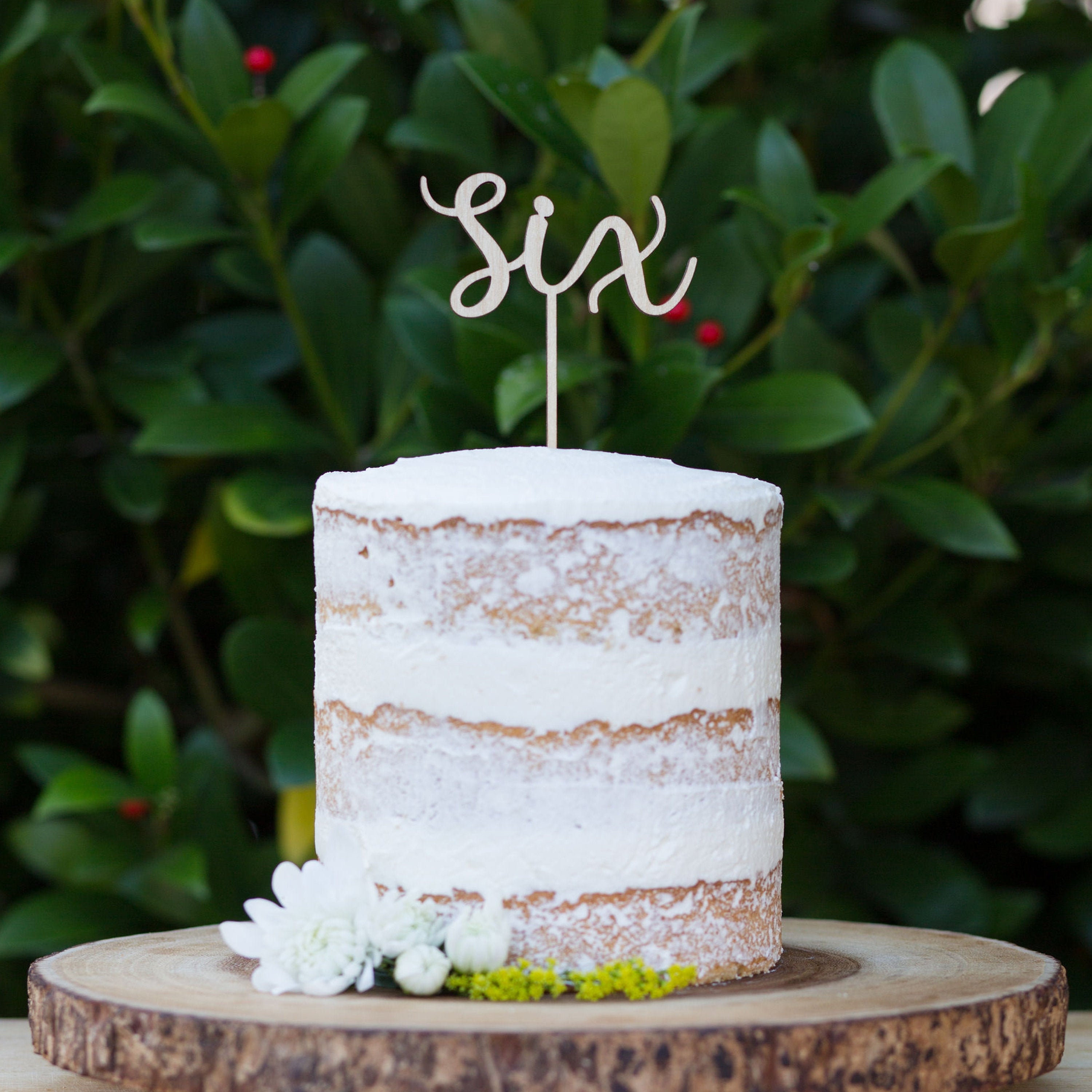 Six Cake Topper Number 6 Cake Topper Cake Topper 6 Cake - Etsy