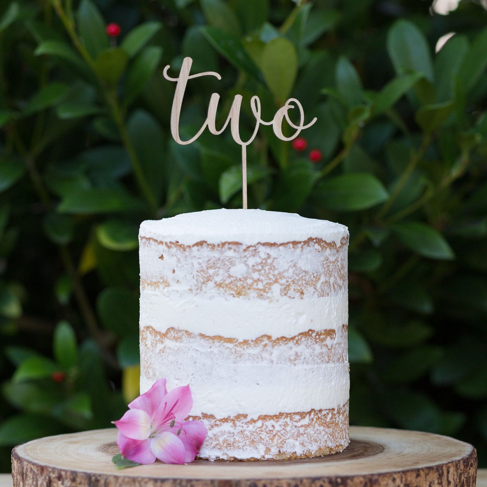 Two Cake Topper 2 Cake Topper Cake Topper 2 Party Supplies - Etsy Canada