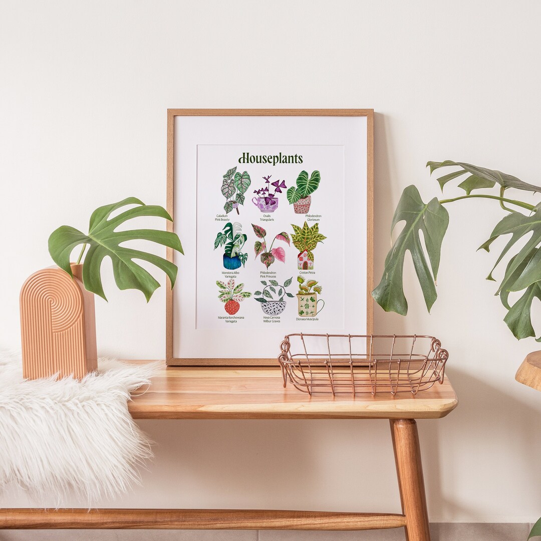 Houseplant Art Print, Indoor Plant Poster, Illustrated Plant Art Print ...