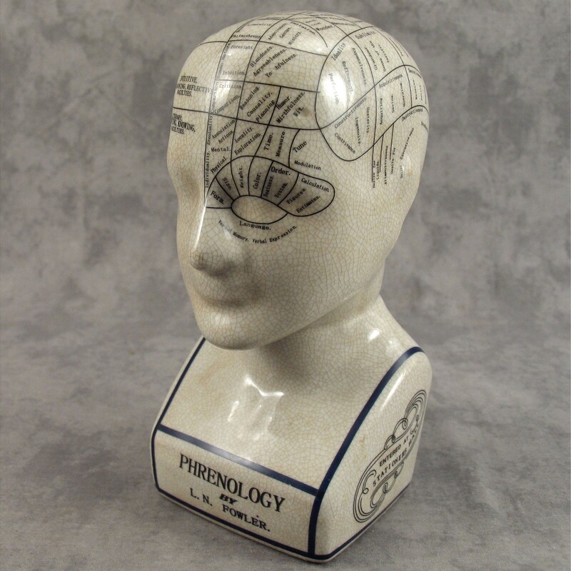 Phrenology Head - Etsy