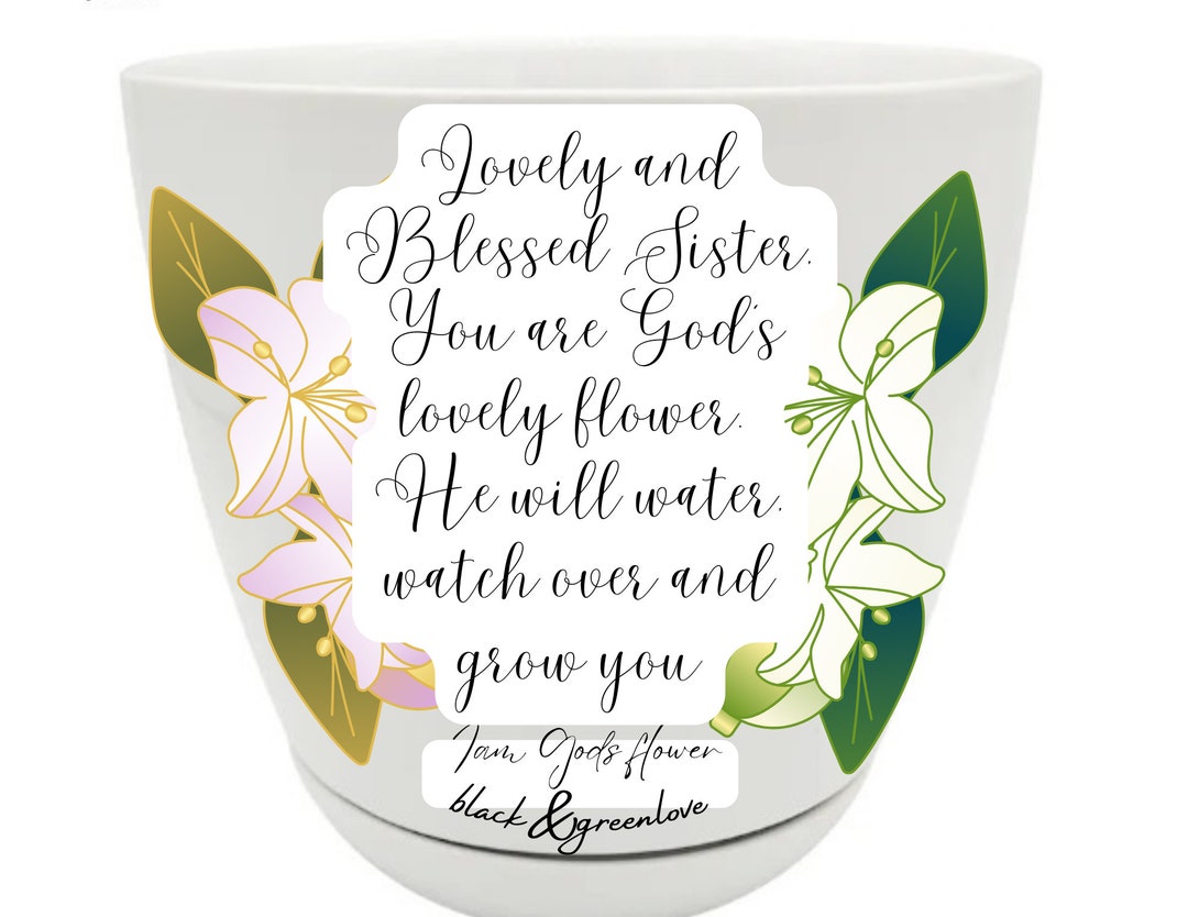 Blessed Sister ..he Will Grow You - Etsy