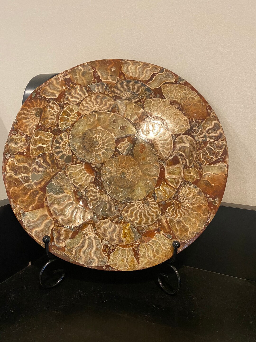 Stunning Large Ammonite Plate With Stand/ammonite/fossil/ E989 - Etsy