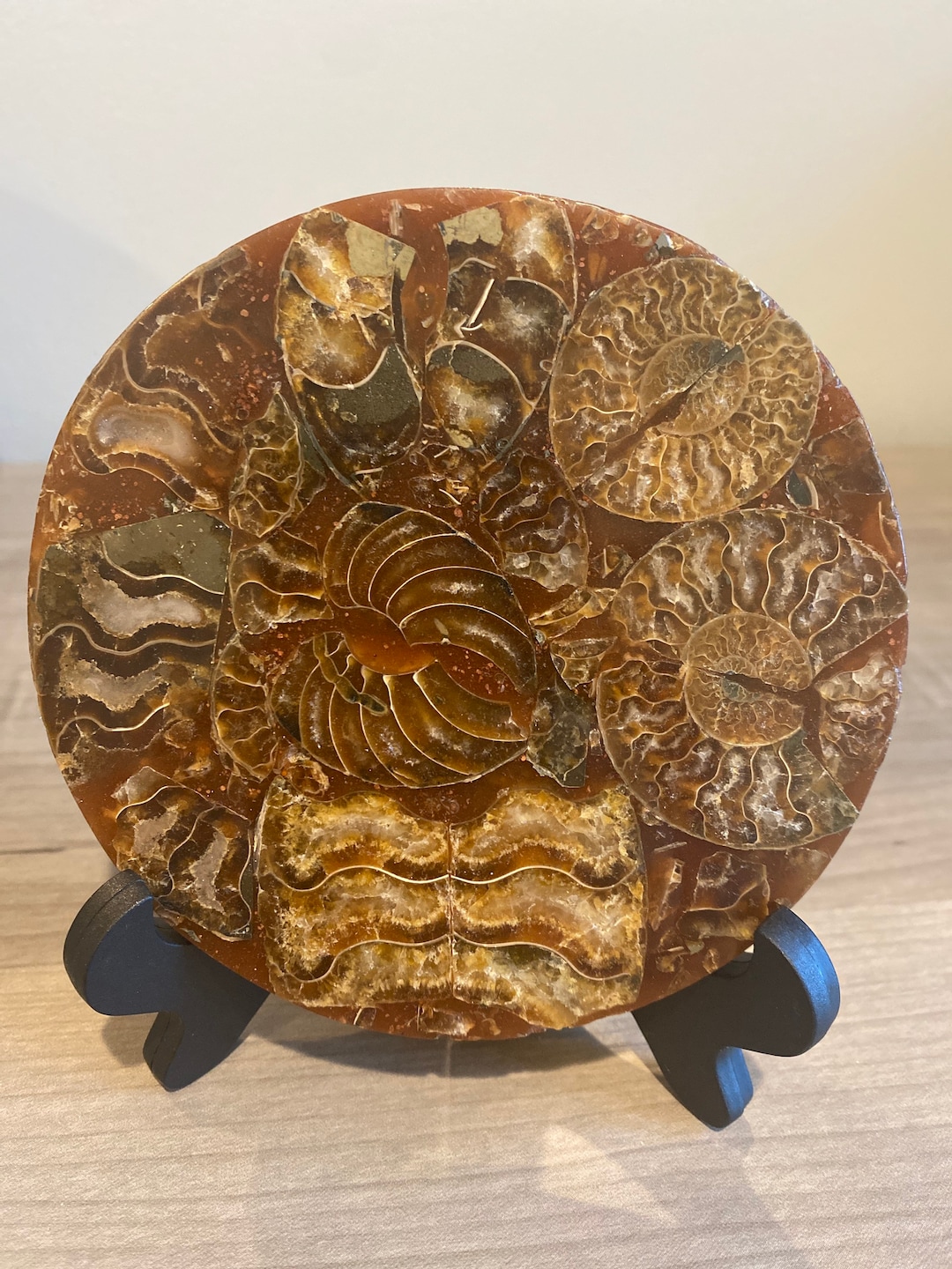 Ammonite Fossil Plate With Stand: Healing Crystal Decor (4.25) - Etsy
