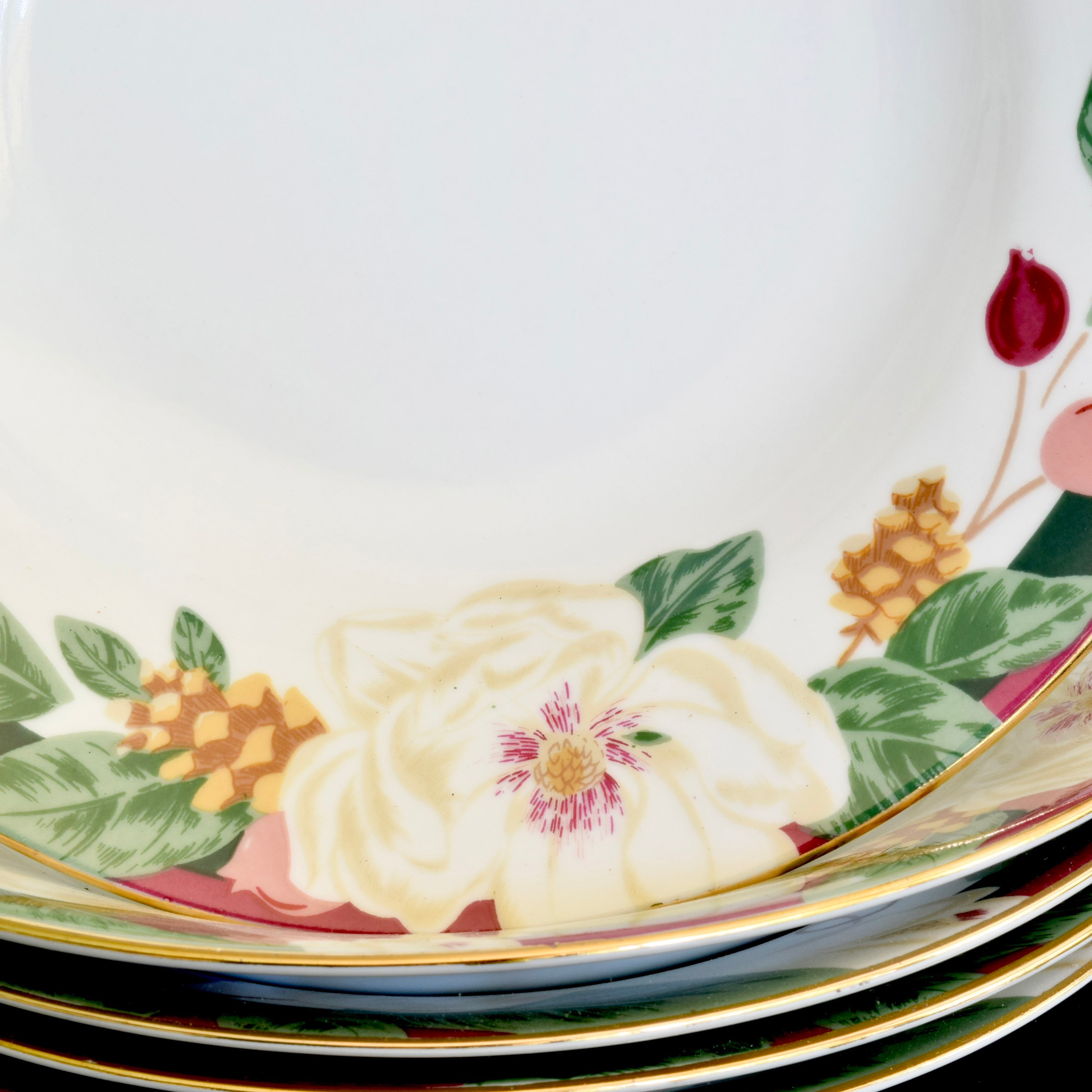 Magnolia by Tienshan Fine China Set of 5 Rim Soup Cereal Salad | Etsy