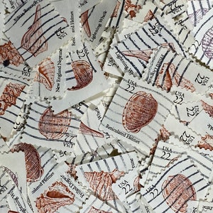 Stamp Art, Sea Shells, 5 Different Kinds, 25 of Each, USA, 25 Cents ...