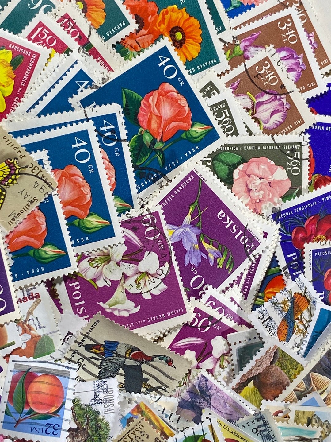 Vintage Topical Wildlife/botany Stamps - 200 Different Stamps 1950's ...