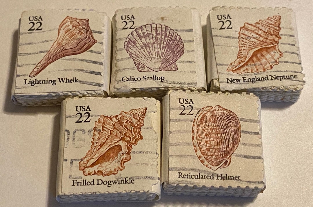 Stamp Art, Sea Shells, 5 Different Kinds, 25 of Each, USA, 25 Cents ...