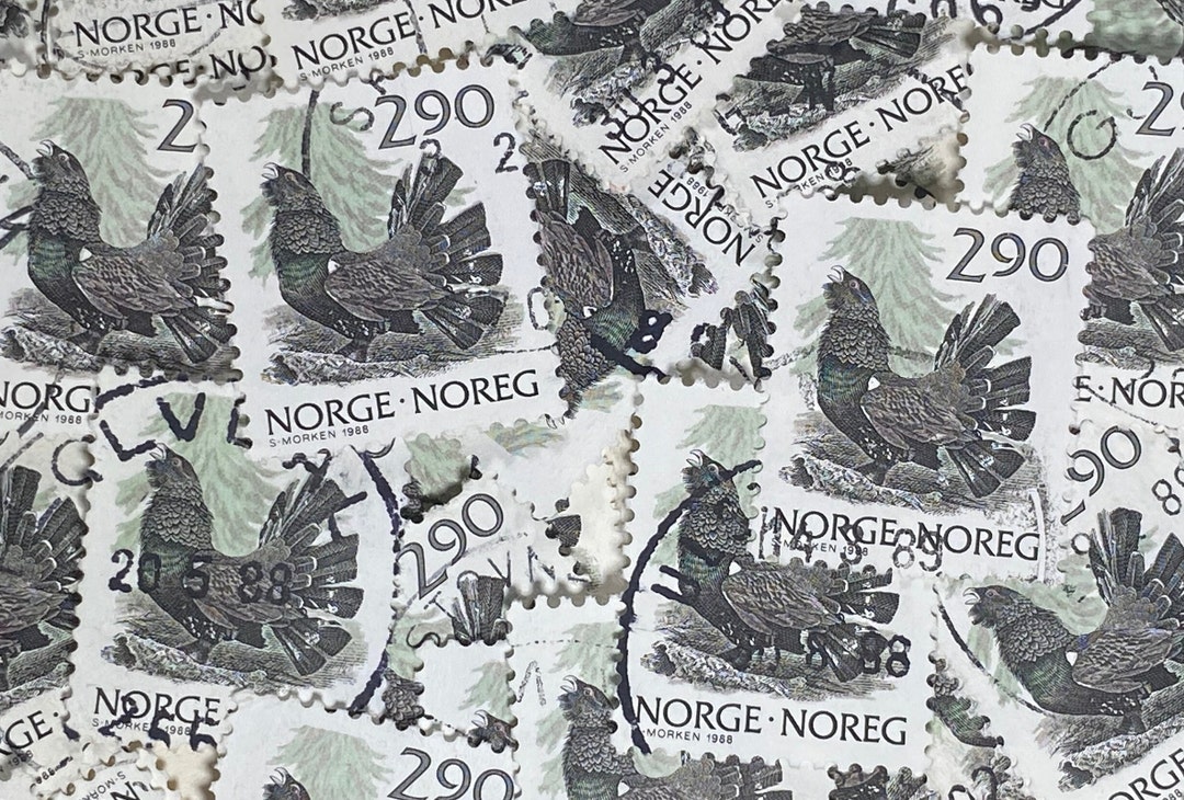 Stamp Art, Bird, Capercaillie, 2.90 Kroner, Norway, Used Stamps - Etsy