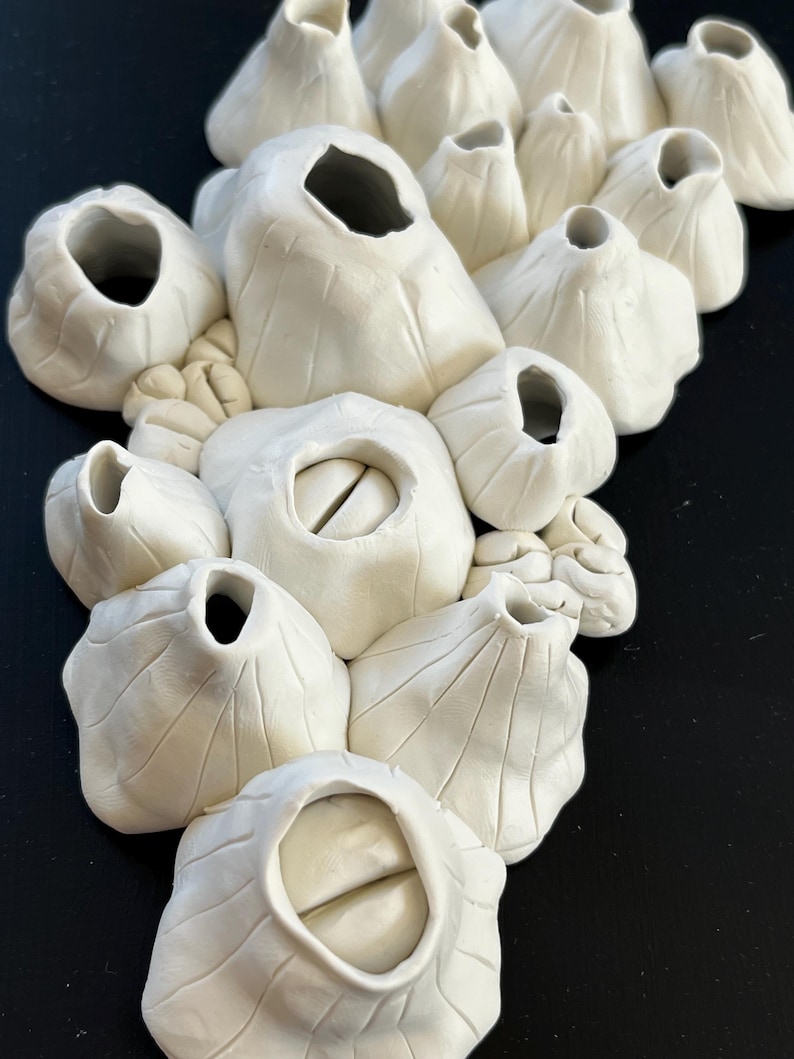 Barnacles Wall Sculpture | Coastal Wall Art | Sea Life Decor | Nautical ...