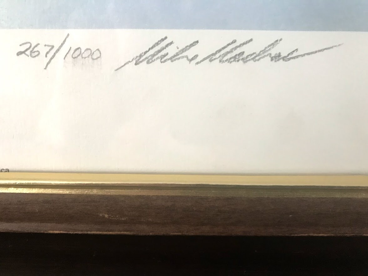 Vintage Limited Edition Charles Macdonald Lightning Over Leyte P-38 ...