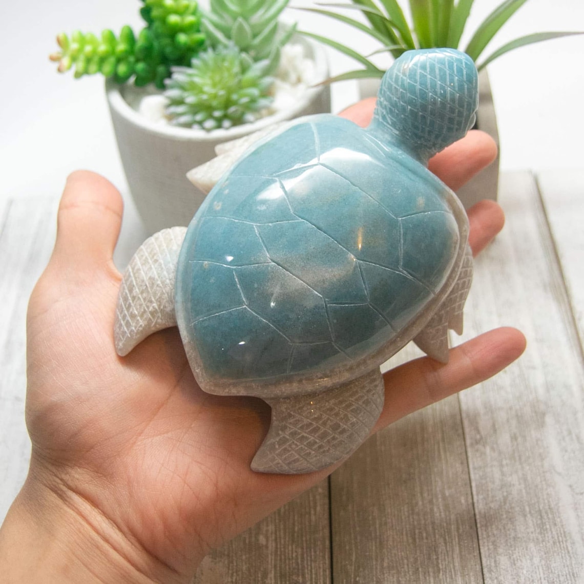 Large Trolleite Turtle, Rare Natural Trollite Honu Sea Turtle Carved ...