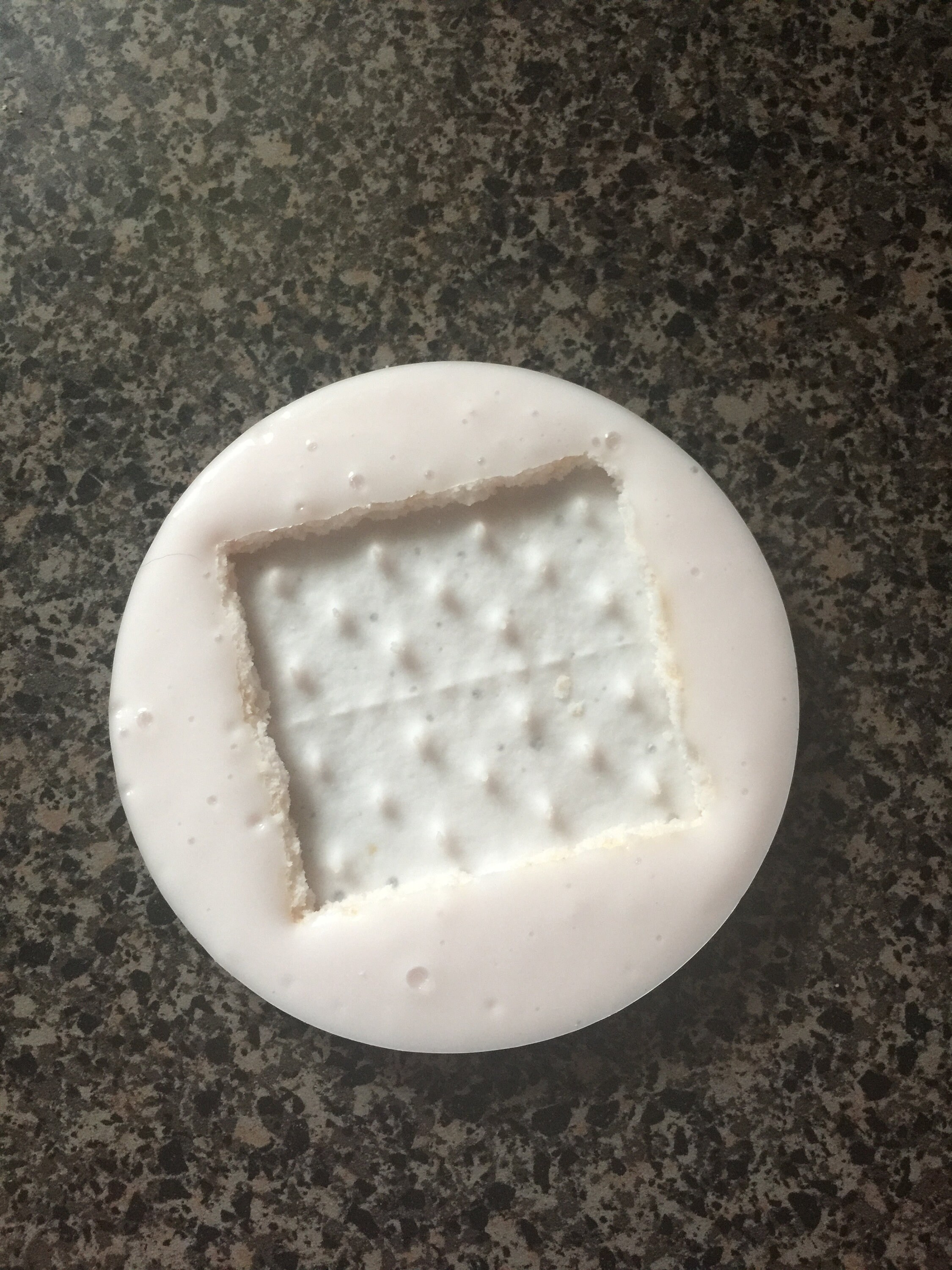Graham Cracker Silicone Mold | Etsy