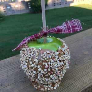 Faux Caramel Apple, Fake Caramel Apple, Realistic Caramel Apple, Food ...