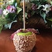 Faux Caramel Apple, Fake Caramel Apple, Realistic Caramel Apple, Food ...