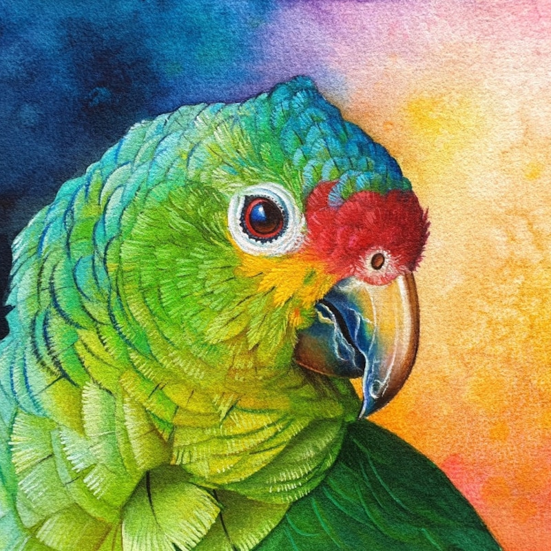 Parrot Poster - Etsy