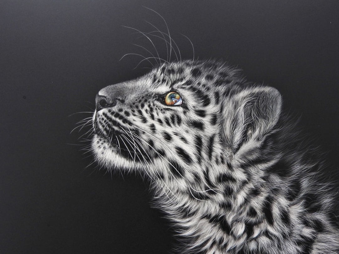 Leopard Cub Art Print Poster Wild Cat Portrait Photo Paper Reproduction ...