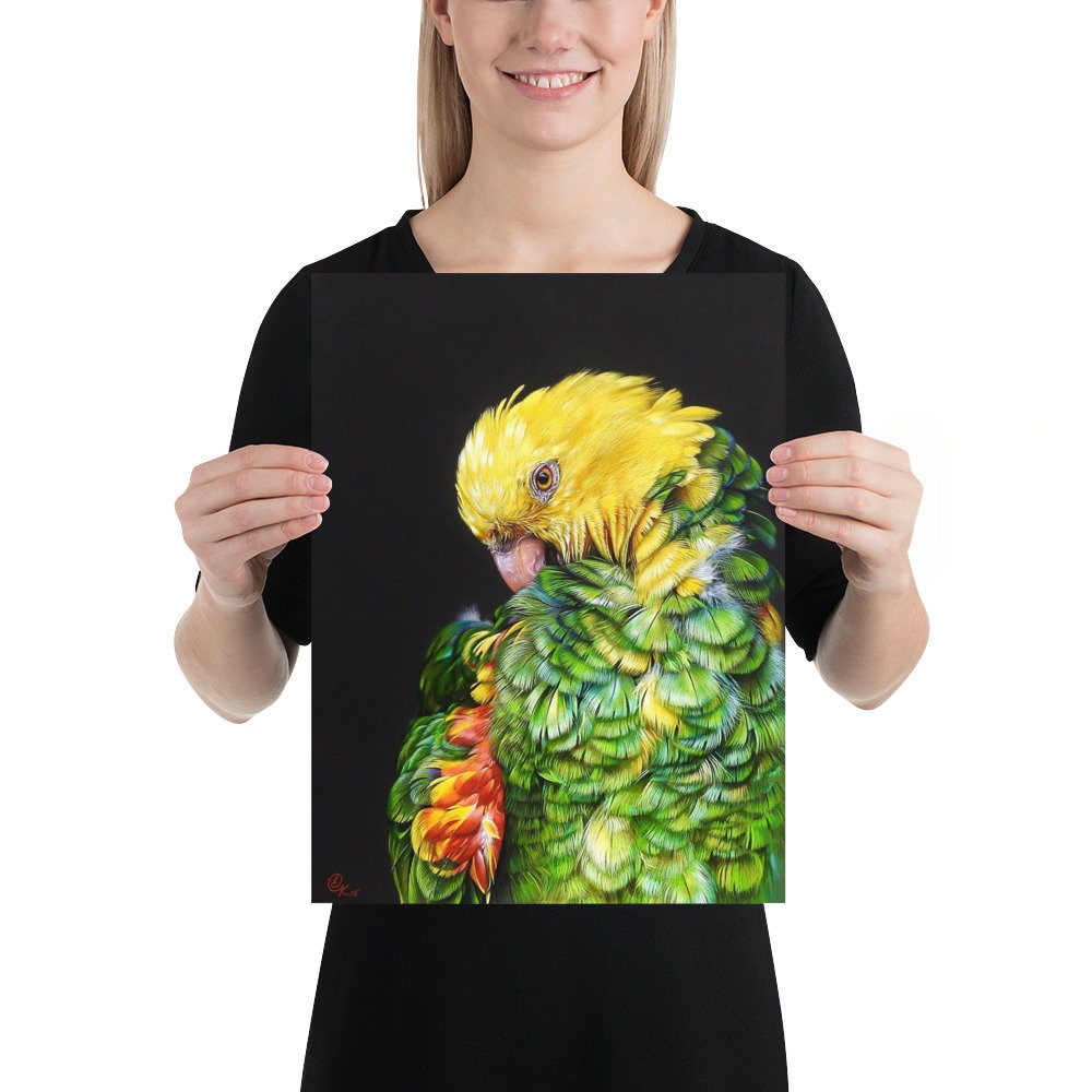 Yellow Headed Amazon Art Print Photo Paper Poster Parrot Wall Art Bird ...